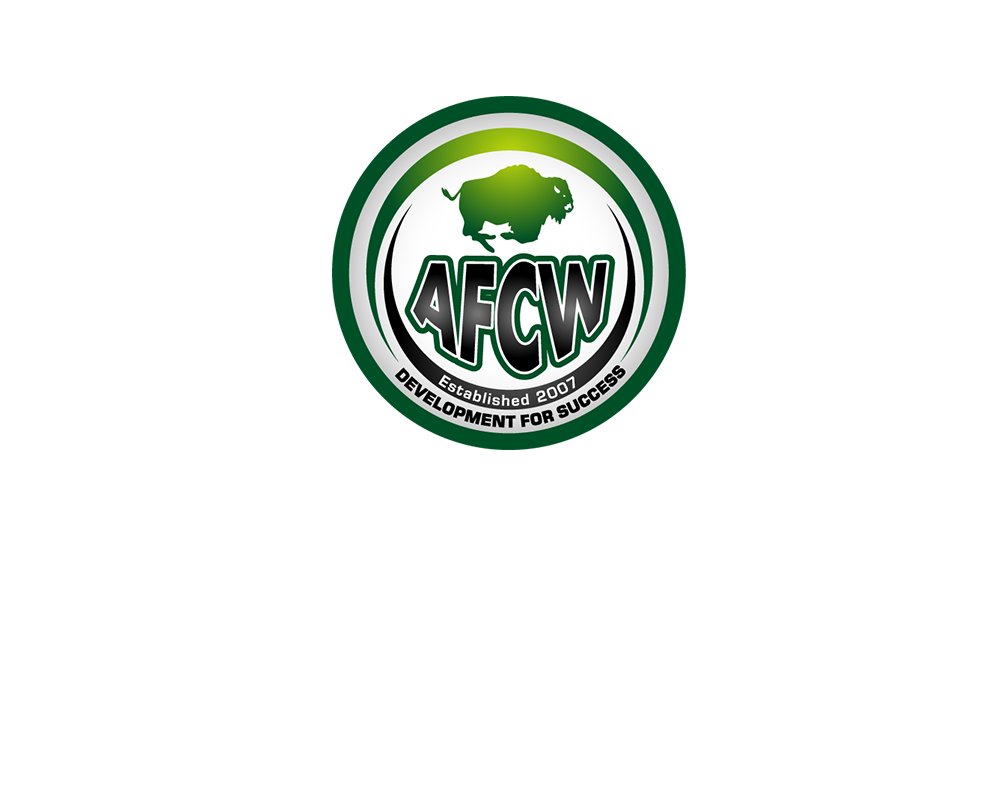 Foundation - AFC Wembley